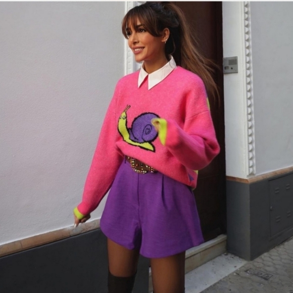 Zara | Sweaters | Nwt Zara Snail Jacquard Knit Sweater | Poshmark